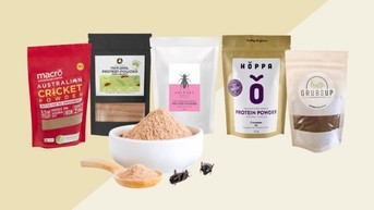 5 Cricket Protein Powders You Can Buy In Australia (& Where The ...