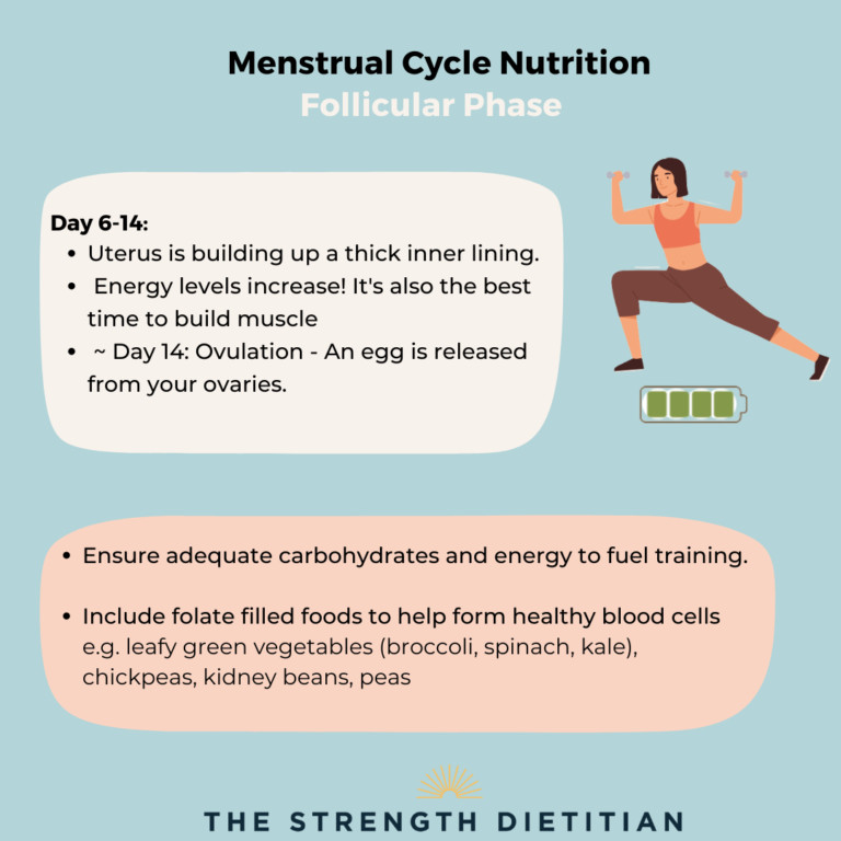 Cycle Syncing: What To Eat During Each Phase Of Your Menstrual Cycle | MealPrep