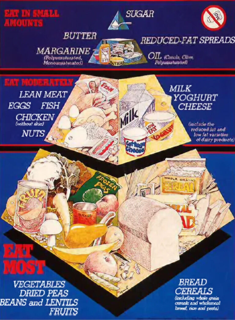 Is the Healthy Eating Pyramid Still Relevant in 2024? | MealPrep